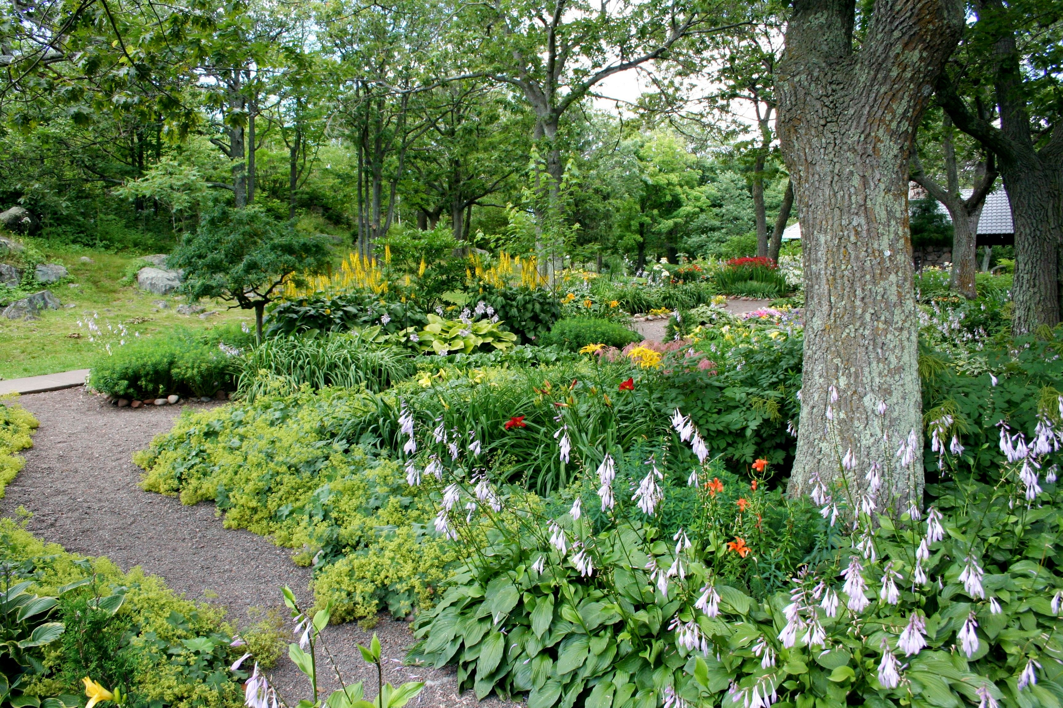 The Growing Garden Slug Problem in Alaska | American Pest Management